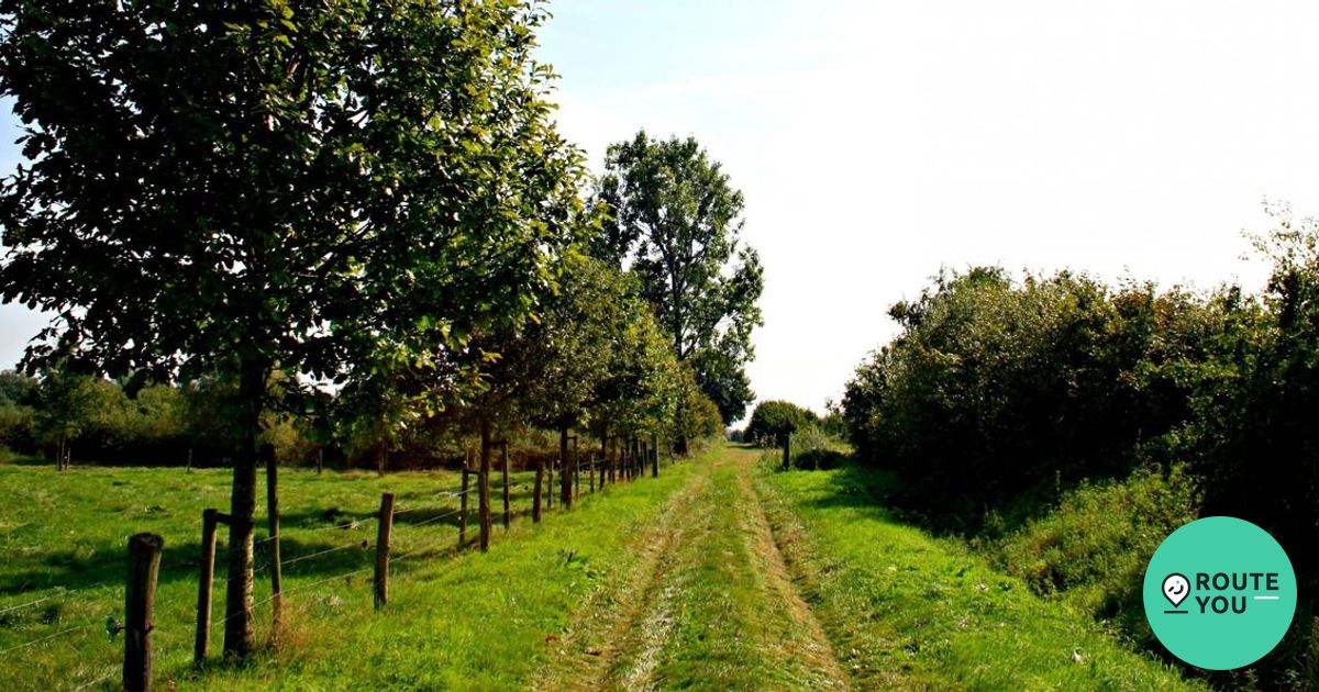 10 adembenemende wandelroutes in Dentergem | RouteYou