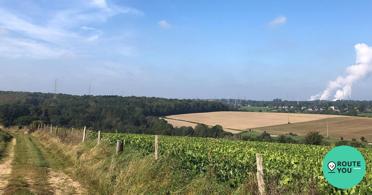 Explorer la nature : Top 10 des chemins de randonnées à Nandrin | RouteYou