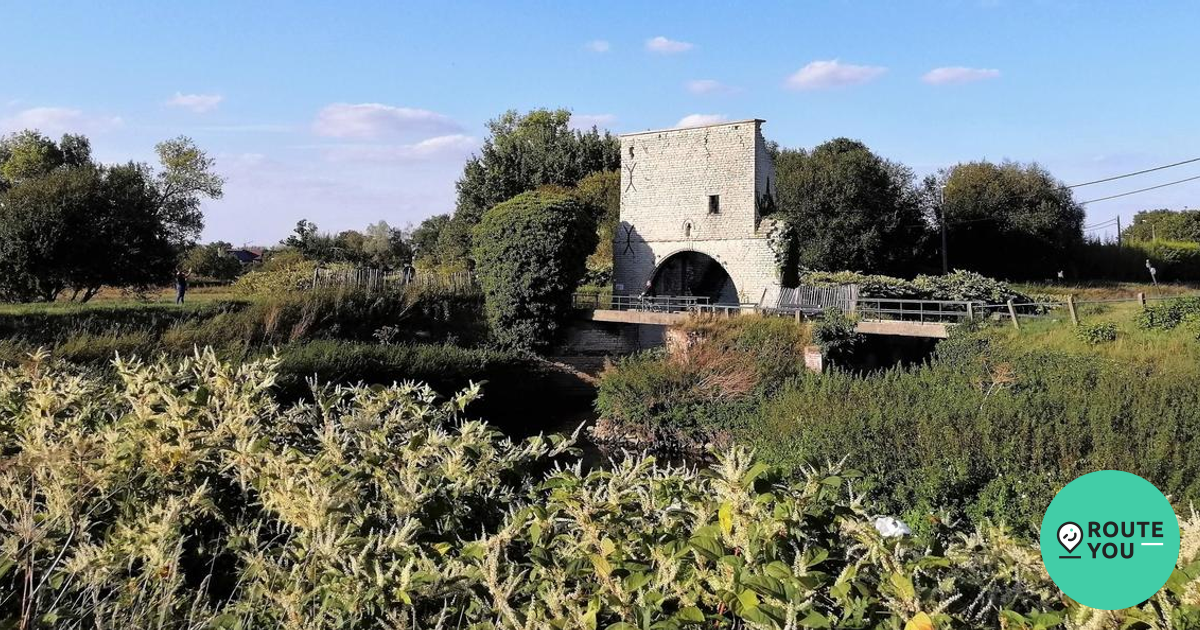 Ontdek de 10 mooiste wandelroutes in Midden-Brabant | RouteYou