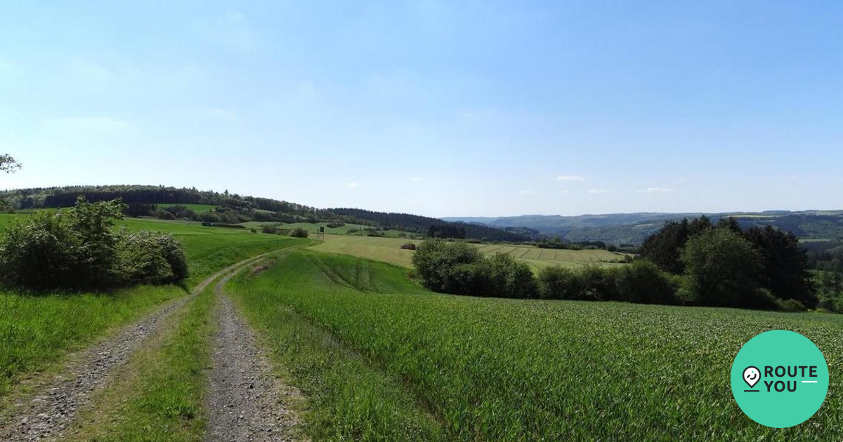 Verken de natuur: 10 prachtige wandelroutes in Hosingen | RouteYou