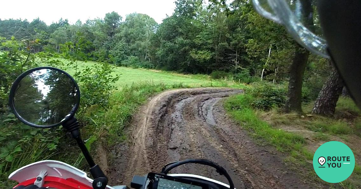 Ontdek de 10 spectaculaire motorroutes in Hoogstraten | RouteYou