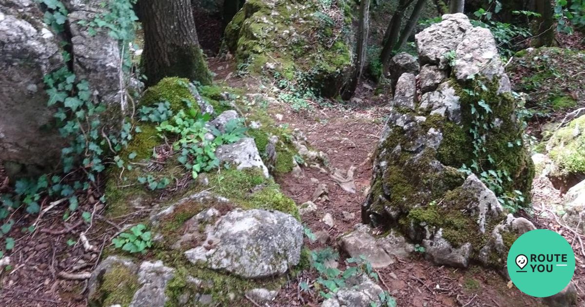 Verken de prachtige natuur: de 10 beste wandelroutes in Baileux | RouteYou