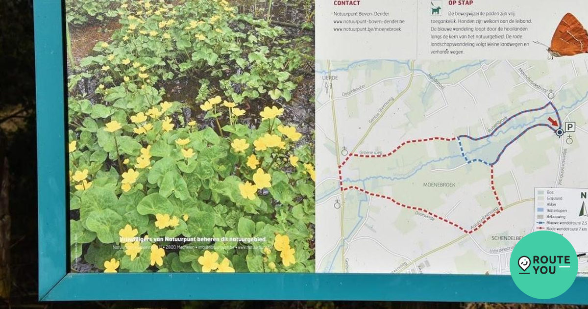 Ontdek de 10 mooiste wandelroutes in Ophasselt en geniet van ...