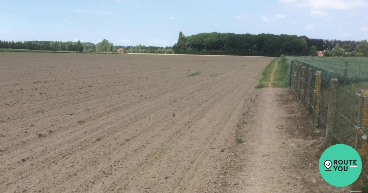 Ontdek de 10 mooiste wandelroutes in Landegem | RouteYou