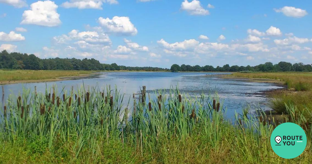 Ontdek de 10 meest spectaculaire fietsroutes in Esbeek | RouteYou