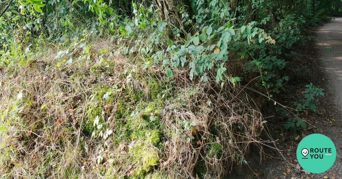 10 spectaculaire motor- en autoroutes door het prachtige Noord-Brabant ...