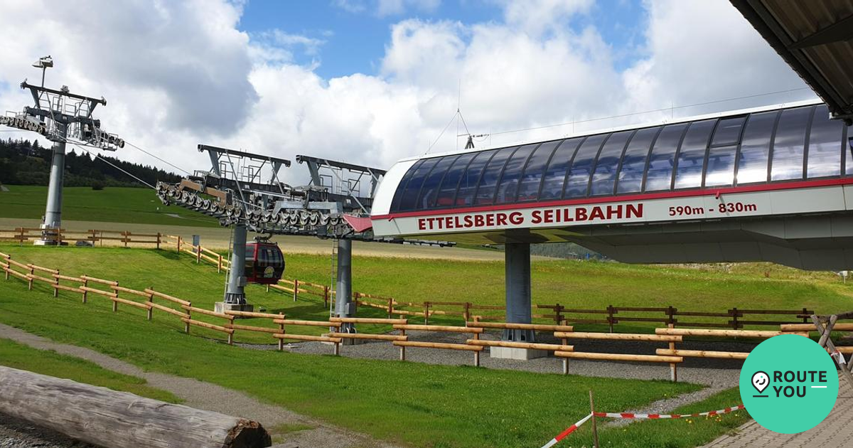 Verken de natuur: Top 10 wandelroutes in Willingen (Upland) | RouteYou