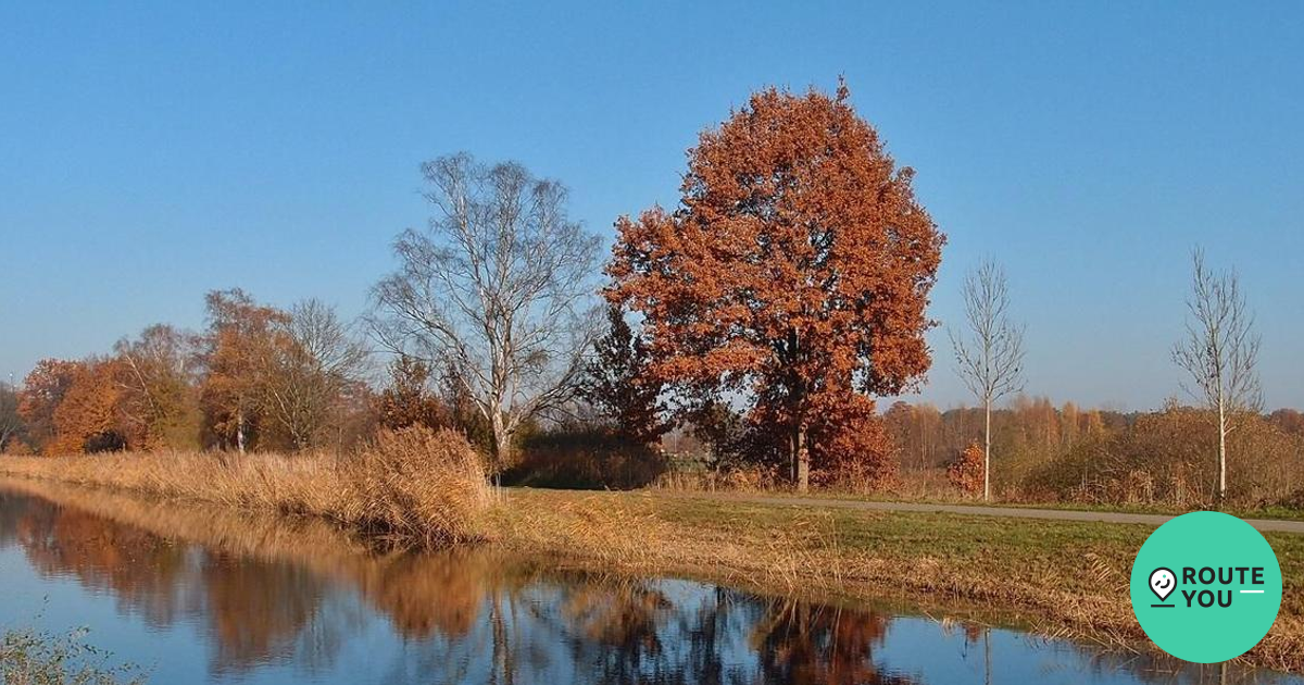 Verken de Veluwe: Ontdek de 10 mooiste fietsroutes | RouteYou