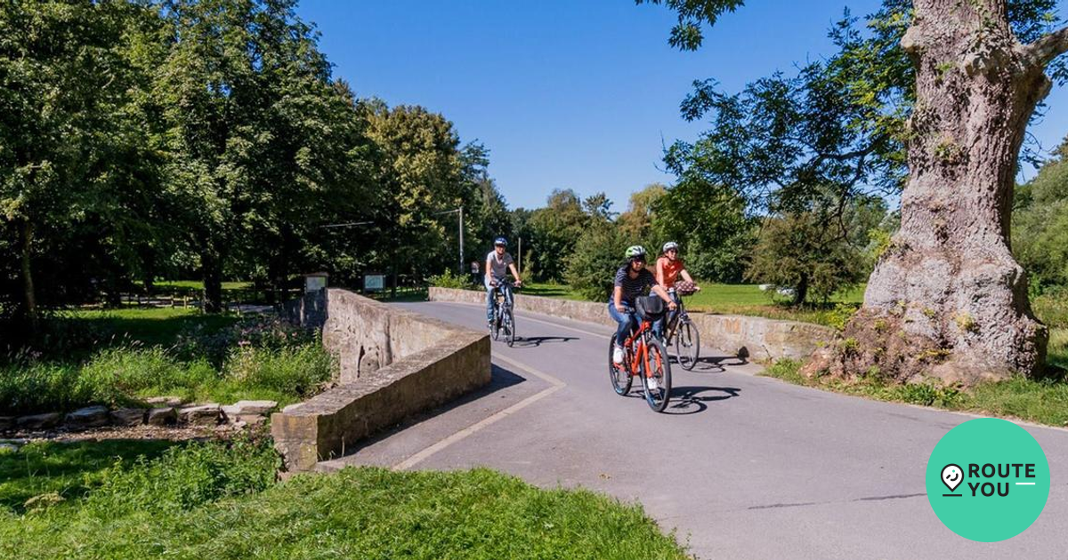 10 adembenemende fietsroutes in Brilon ontdekken | RouteYou
