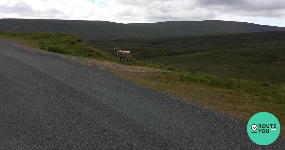 Cycle routes in Cumbria | RouteYou
