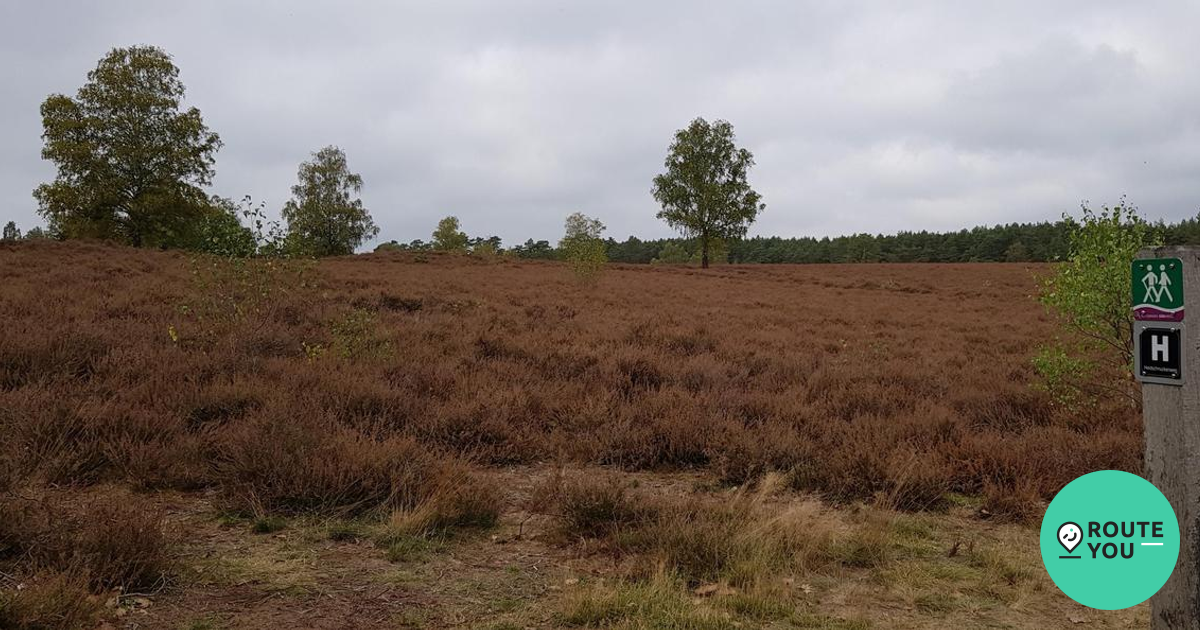 10 adembenemende motorroutes in Duitsland om te ontdekken | RouteYou