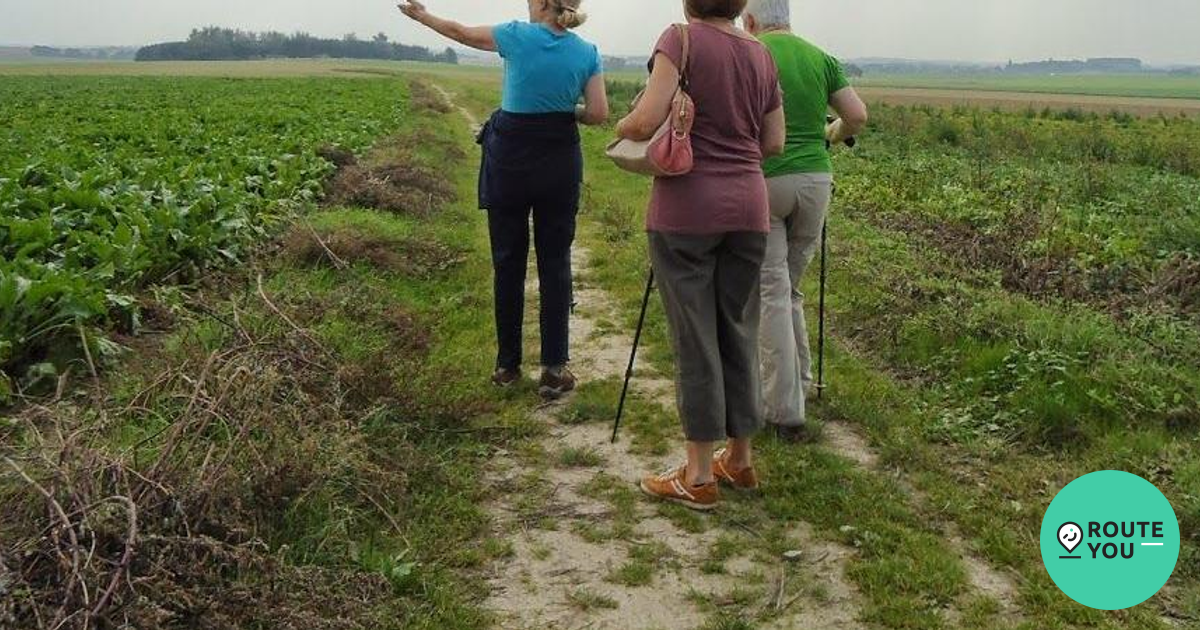 Verken de natuur: 10 beste wandelroutes in Bierbeek | RouteYou