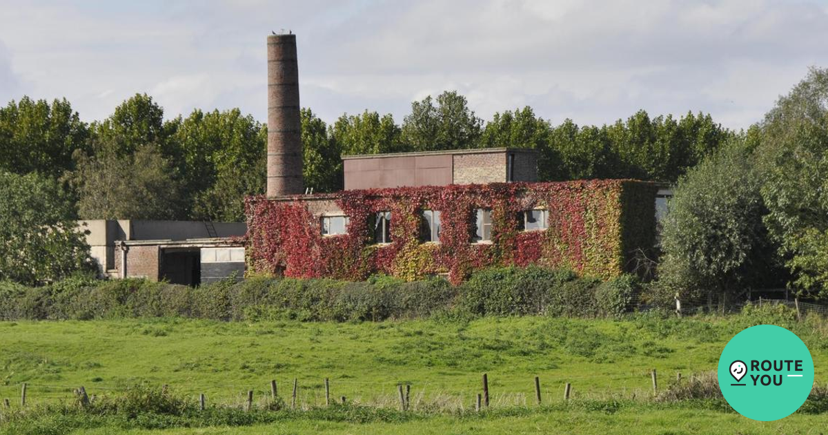 Top 10 motorroutes: ontdek het adembenemende Hoogstade op de motor ...