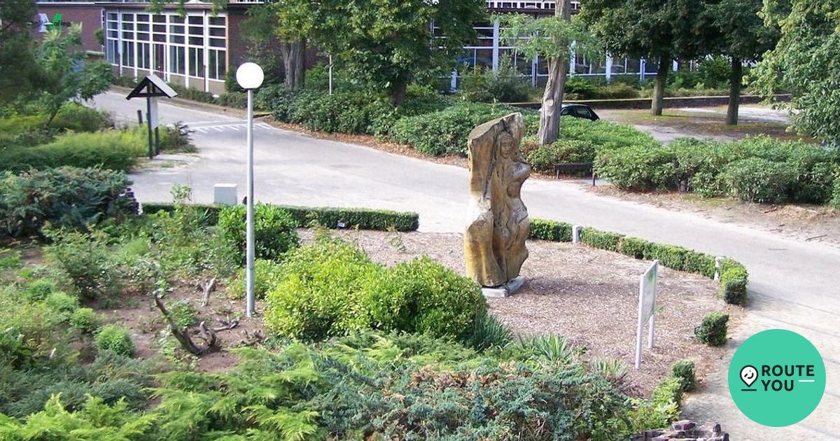 Ontdek de 10 mooiste wandelroutes van Ossendrecht | RouteYou