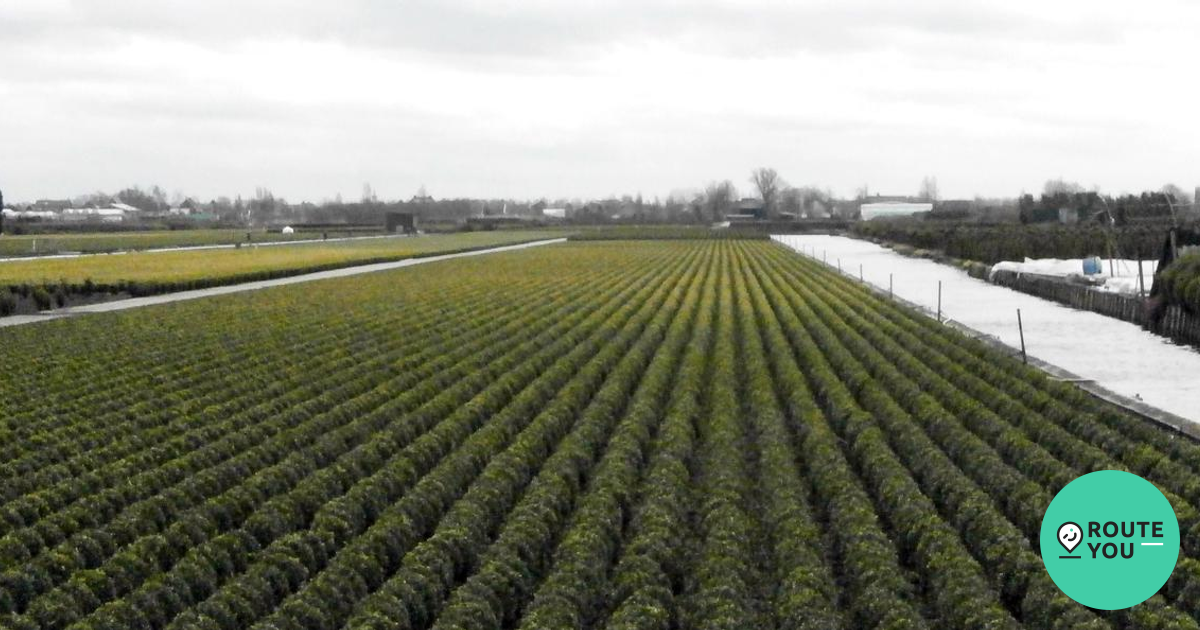 Ontdek de mooiste plekjes: 10 top wandelroutes in Hazerswoude-Dorp ...