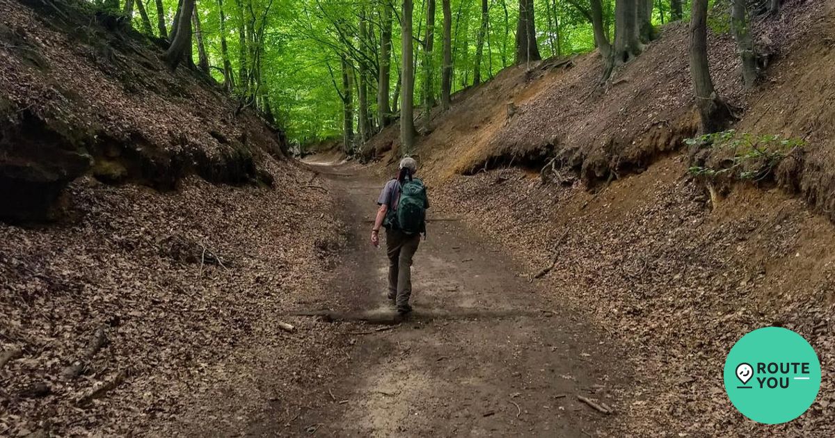 Walking routes in Pays des Collines | RouteYou