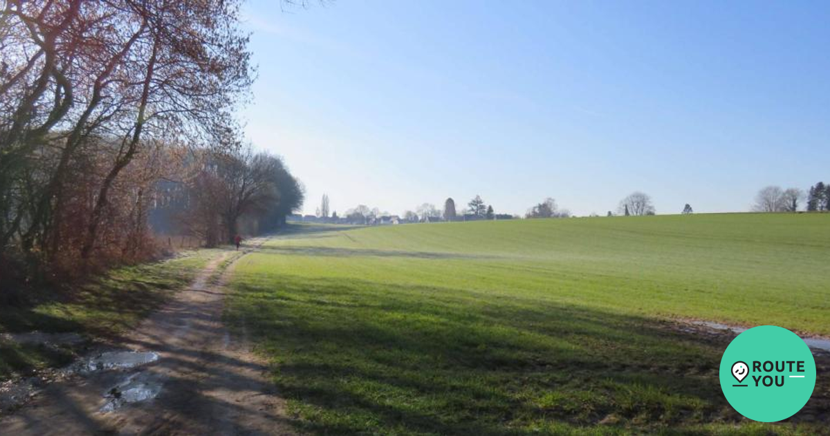 De Vreugdestappers Huldenberg - Home | RouteYou