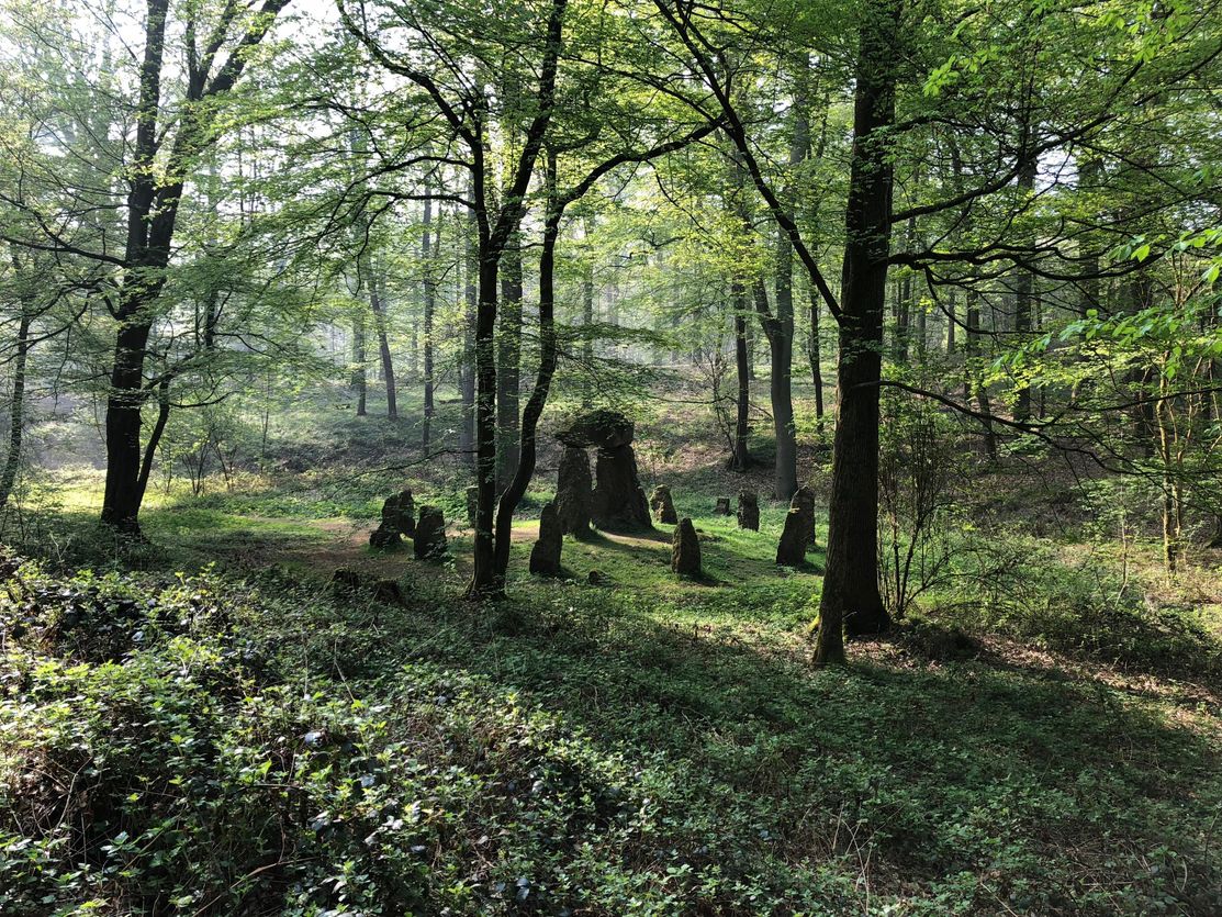 Een zeer merkwaardige plek in het oerbos van België | RouteYou
