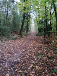 Enjoy the nicest routes | RouteYou