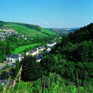 Ruwer - Fluss | RouteYou