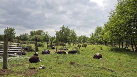 Westerplas - Natural area | RouteYou